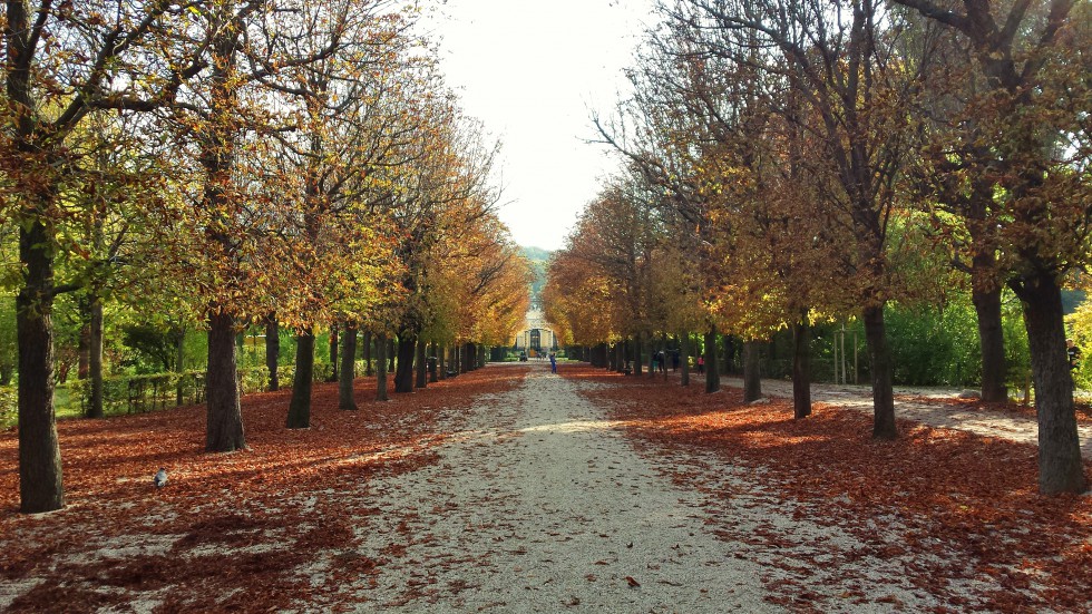 Vienna in October - THE VIENNESE GIRL
