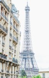 Paris, je t'aime - Vienna Photographer