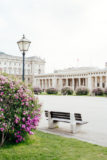 Vienna in April - flowers and springtime The Viennese Girl blog