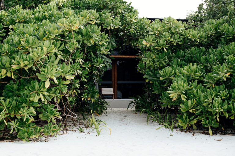 Maldives Archives - Best Vienna Photographer | Silia Eleftheriadou ...